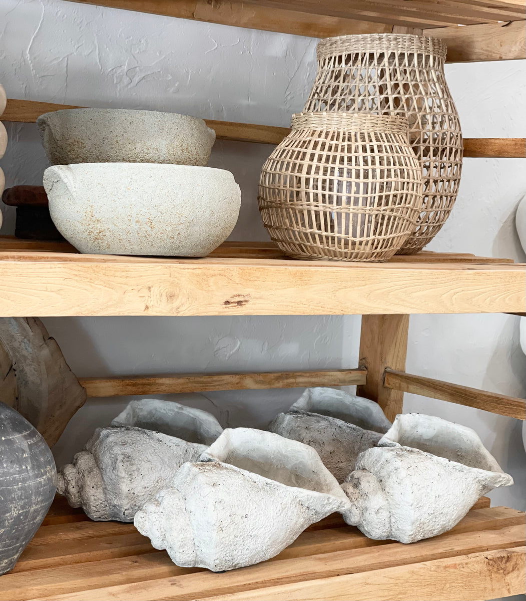 Conch Shell - Large – Row House Interiors